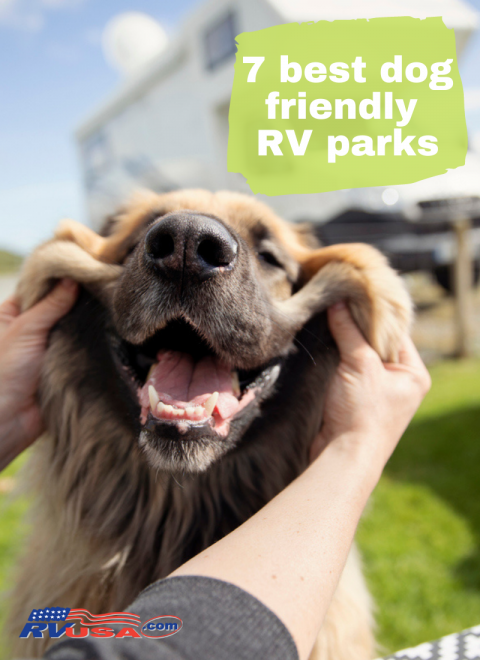 Rounding up our favorite dog friendly RV Parks